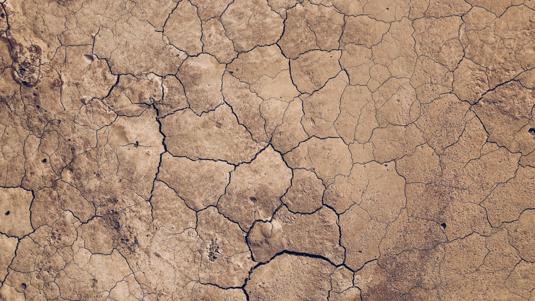 SpaceKnow Examines Droughts using NDVI algorithms over Germany in 2018 ...