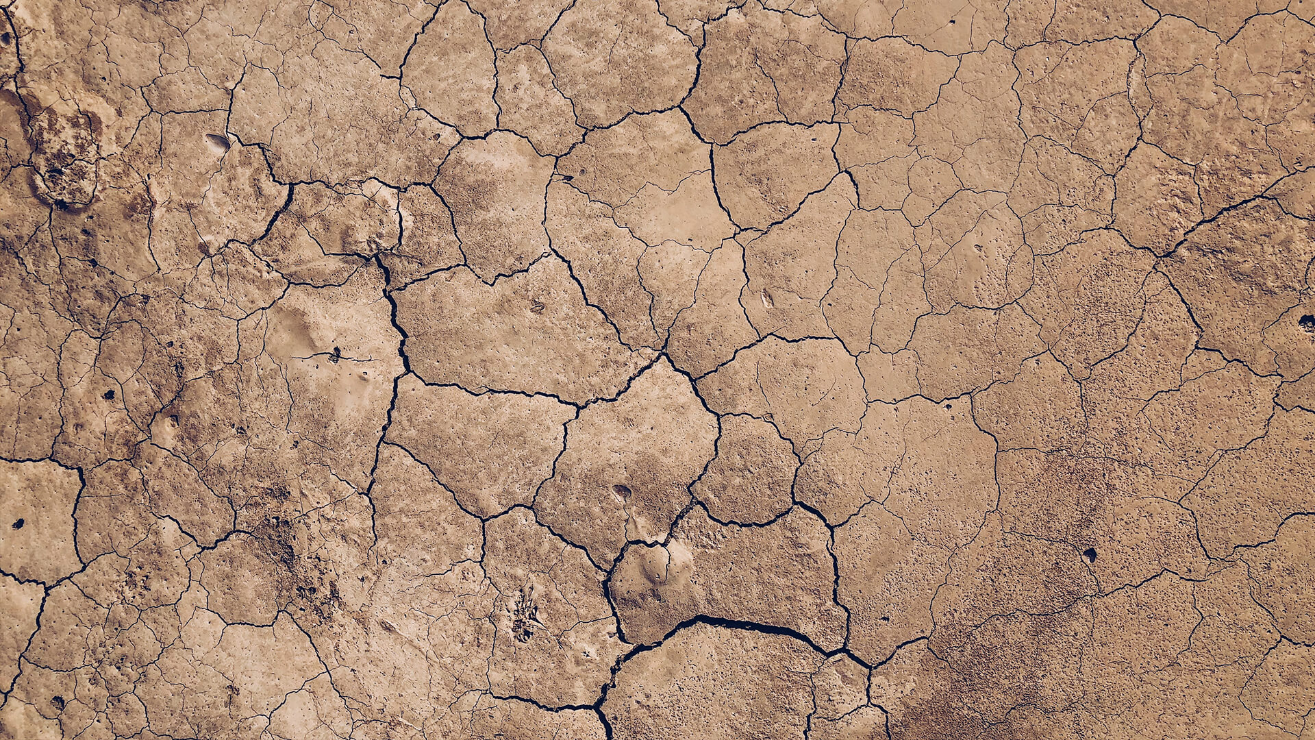 SpaceKnow Examines Droughts using NDVI algorithms over Germany in 2018 ...