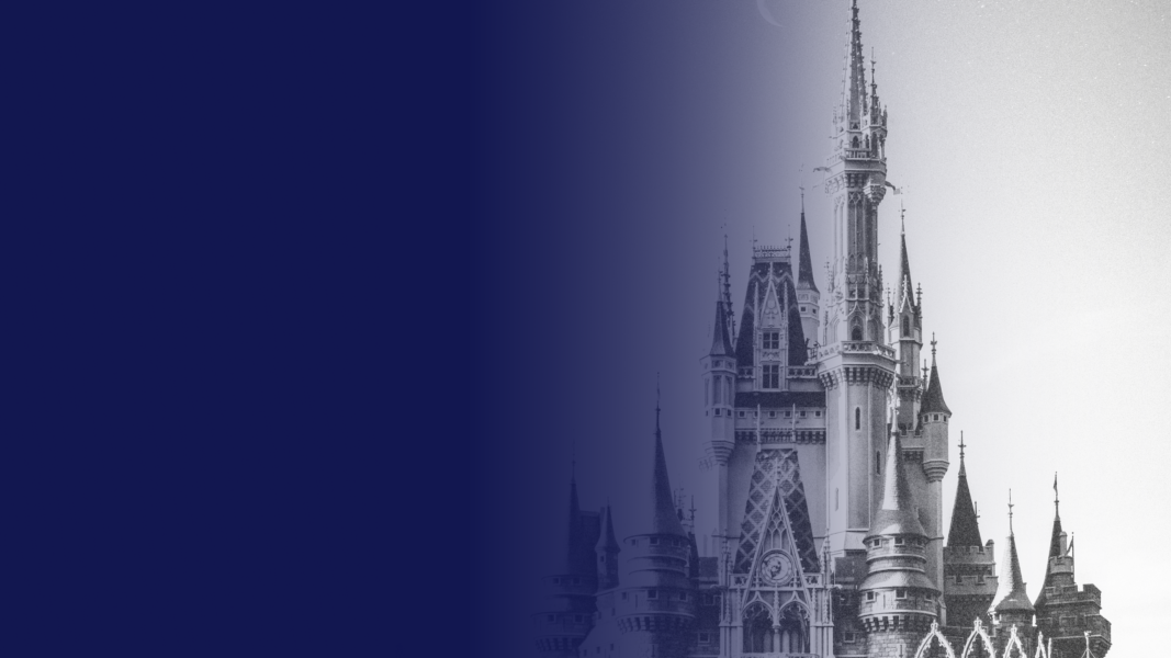 Disney’s parks in Florida from Space - SpaceKnow